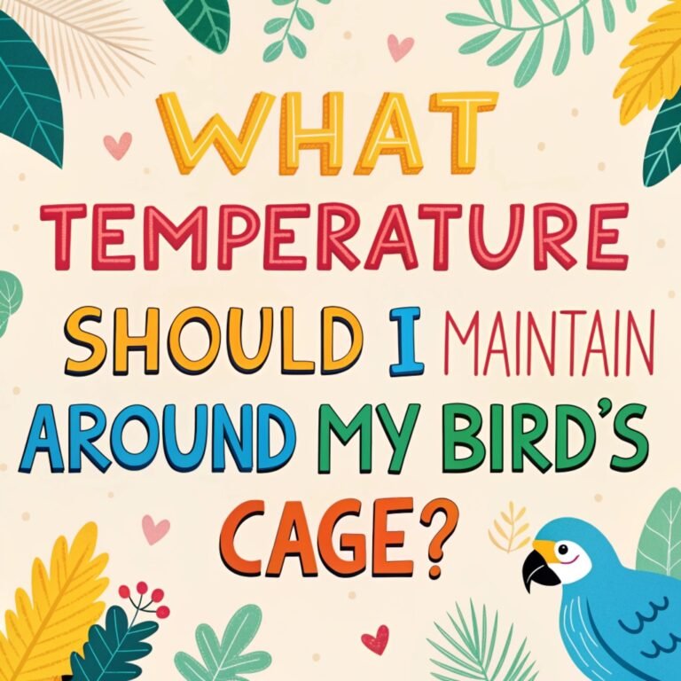 What Temperature Should I Maintain Around My Bird's Cage? - A ...